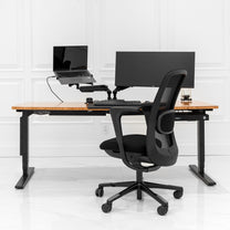 Sit Stand Desk - Solo Ryzer - Dual Motor Adjustable Standing Desk ...