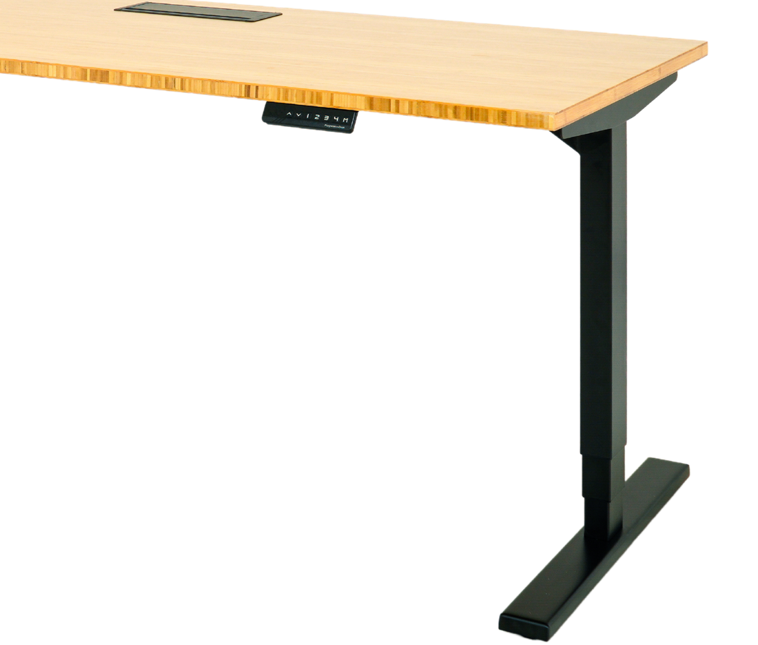Bamboo Standing Desk - Progressive Desk - Buy Bamboo Stand-Up Desk