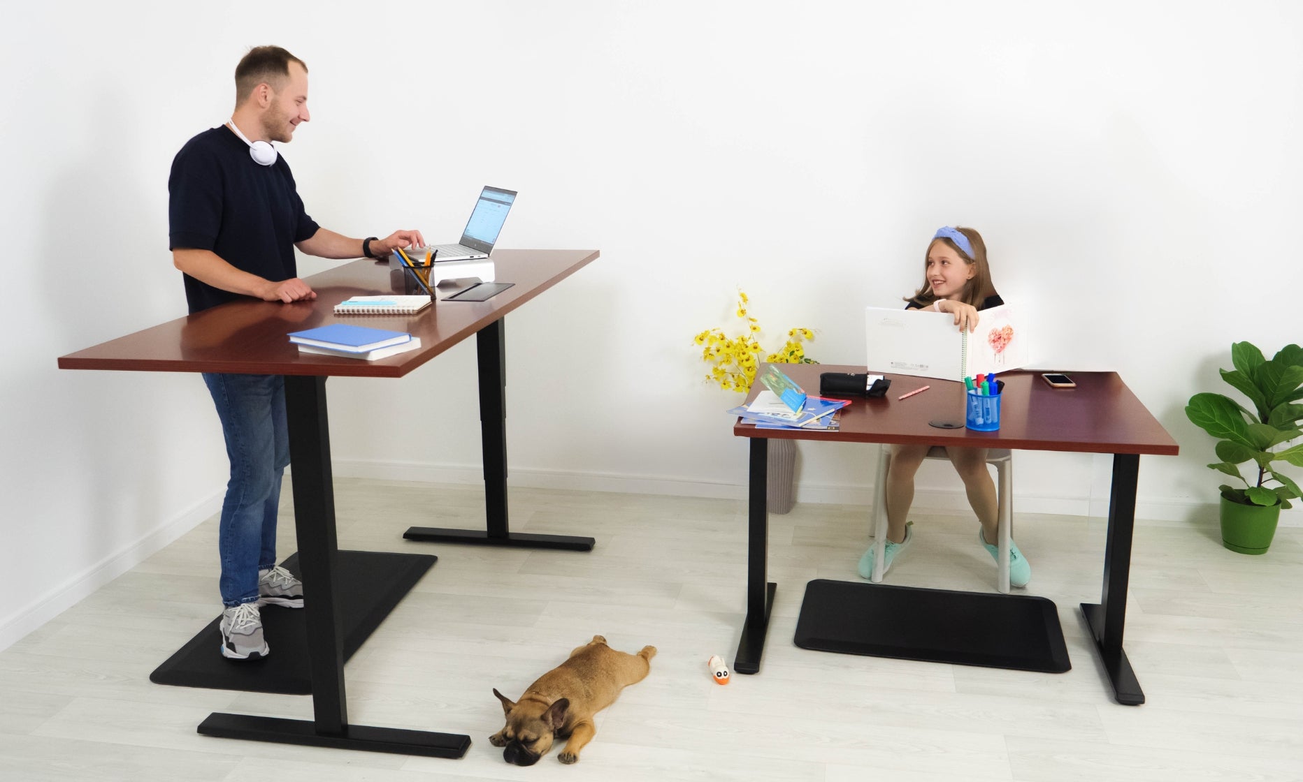 Standing Desks & Adjustable Desks for Home and Office – Progressive Desk