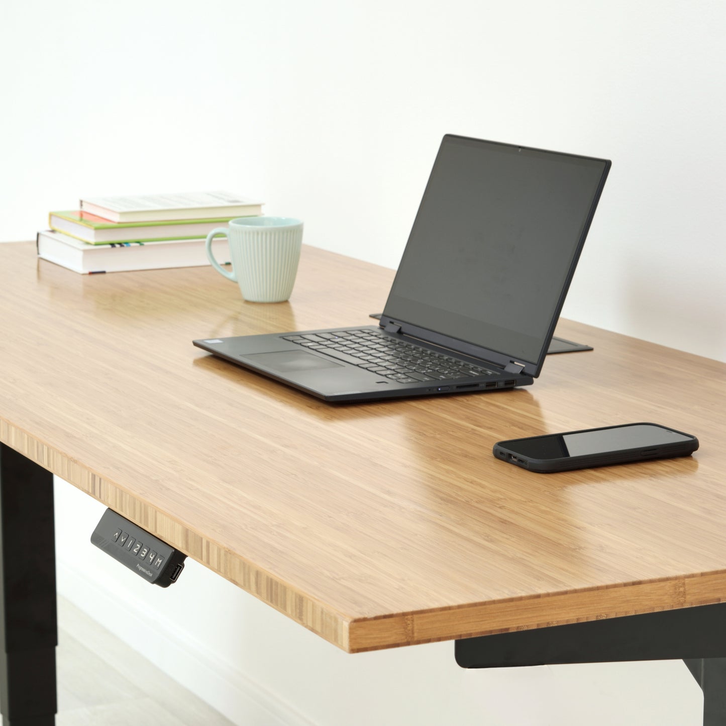 Bamboo Standing Desk - Progressive Desk - Buy Bamboo Stand-Up Desk